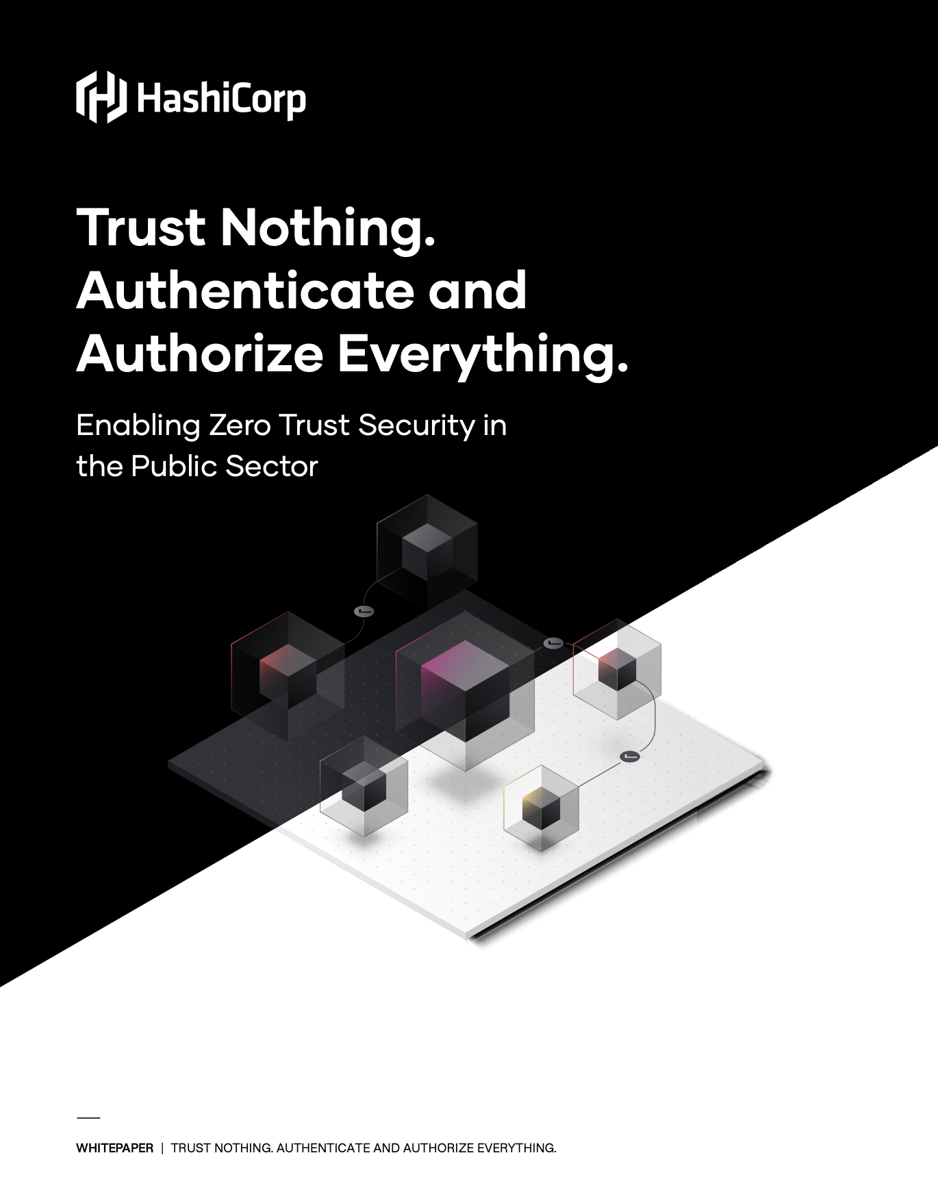 Trust Nothing. Authenticate and Authorize Everything.