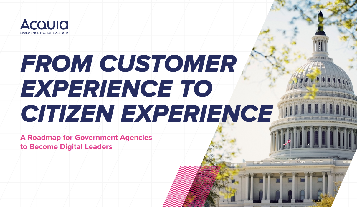 From Customer Experience to Citizen Experience: A Roadmap for ...