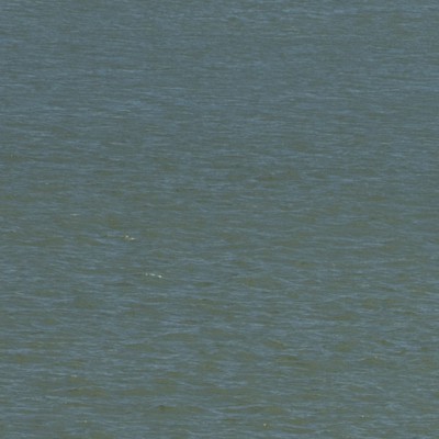 Inside the Navy’s Secret Swarm Robot Experiment - Defense One