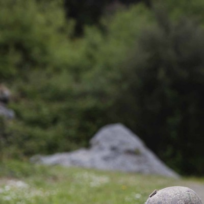 The US Holds More Pacific Exercises Than You Probably Realize - Defense One