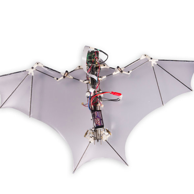 Pentagon Seeks Laser-Powered Bat Drones. Really. - Defense One