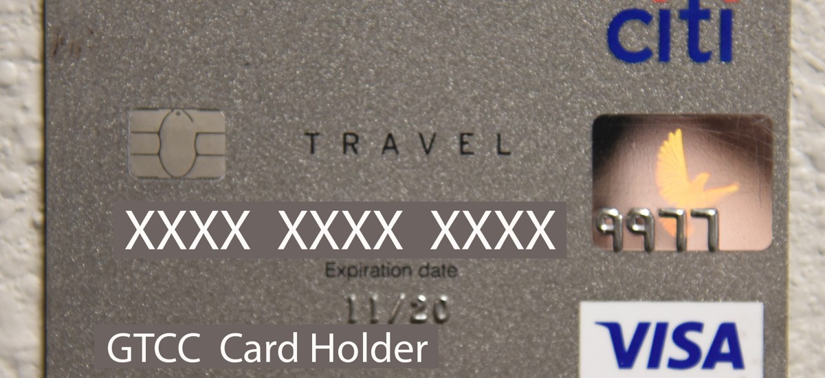 Doge Credit Card Findings