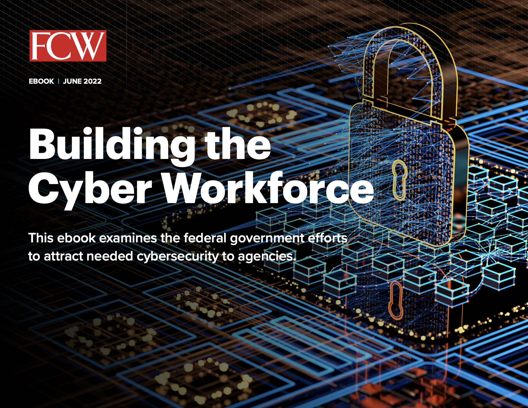 Building the Cyber Workforce